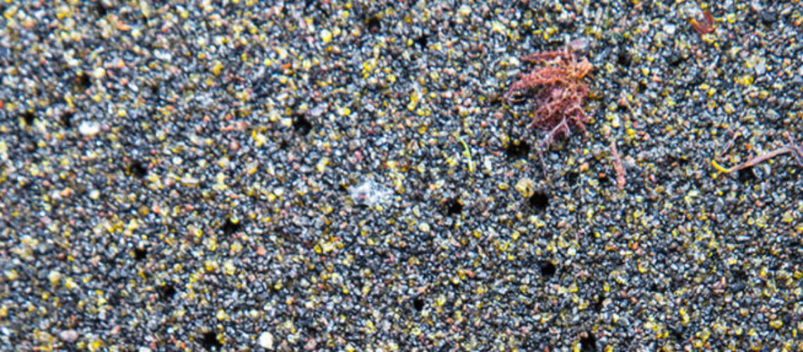 What are microplastics? And 6 tips on how to reduce them