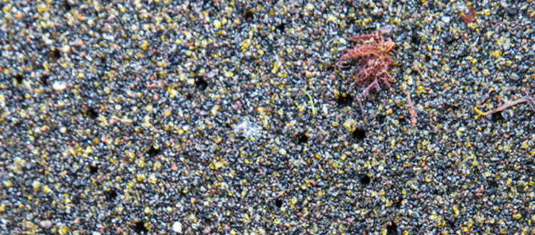 What are microplastics? And 6 tips on how to reduce them